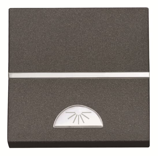 Abb n2204.2an zenit poussoir no 2 modules avec symbole lumiere anthracite