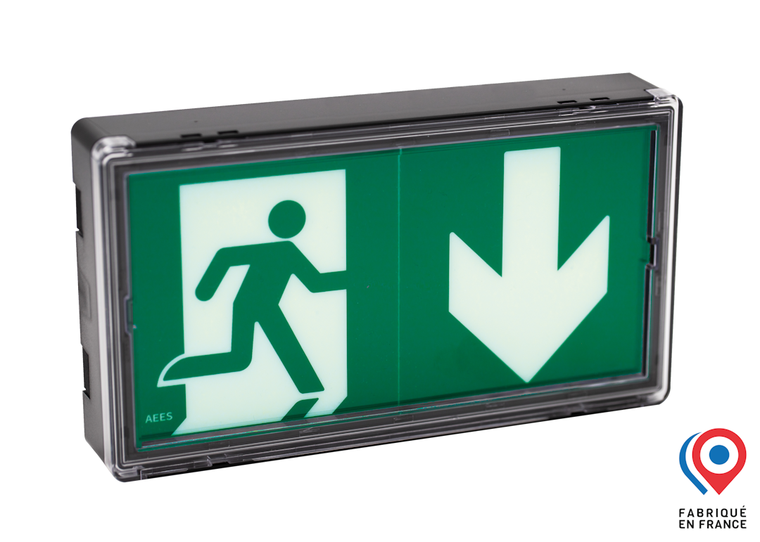 AEES by Chloride 4222365 Lumio 45 ip st+